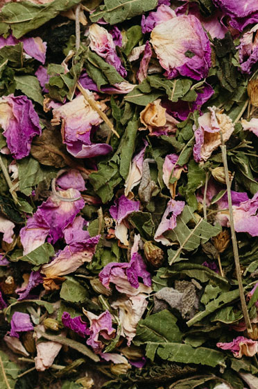 Les Infusions Infusion Moon Tea - Atelier Nubio